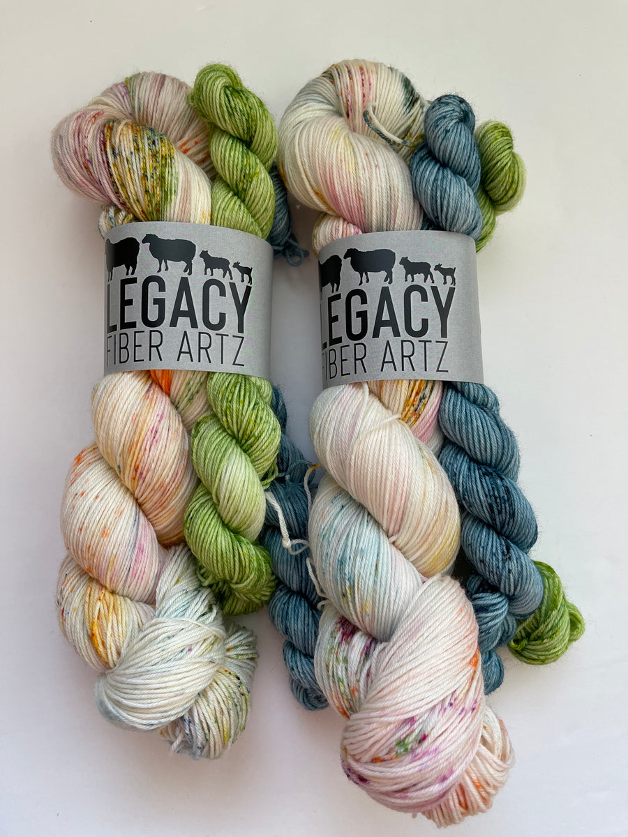 Painter's Palette Sock Set – Legacy Fiber Artz